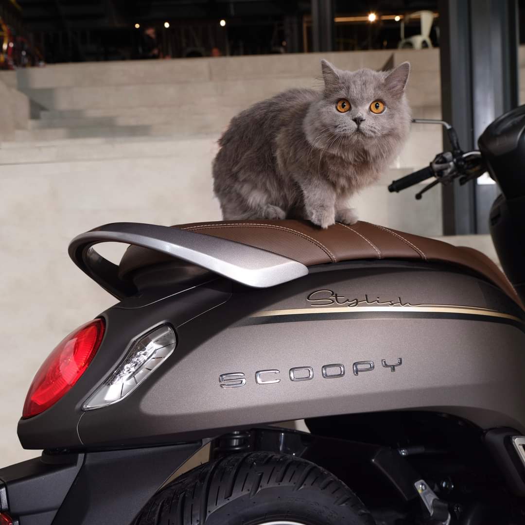 Selama 2022, Penjualan Motor Tembus 5,2 Juta Unit, Matic Paling Laris ...